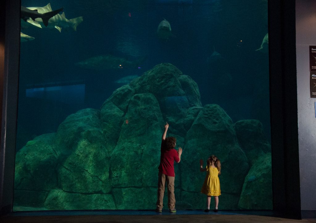 Best of SJ Readers' Poll 2019 - SJ Mag Media