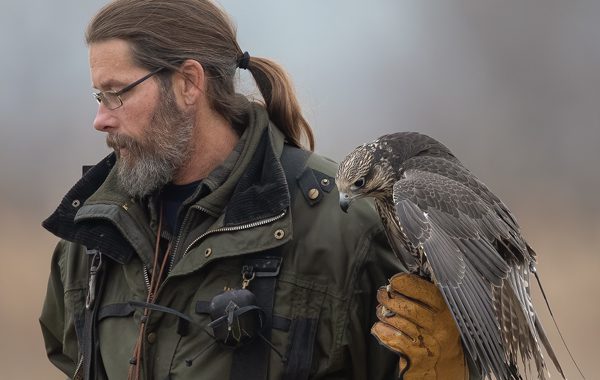 The Falconer On The South Jersey Shore - SJ Mag Media