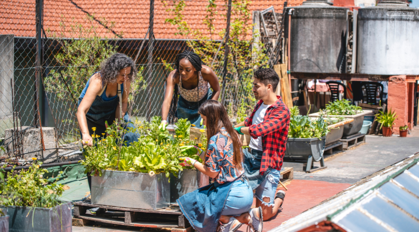 South Jersey Community Garden Initiatives to get involved with - SJ Mag ...