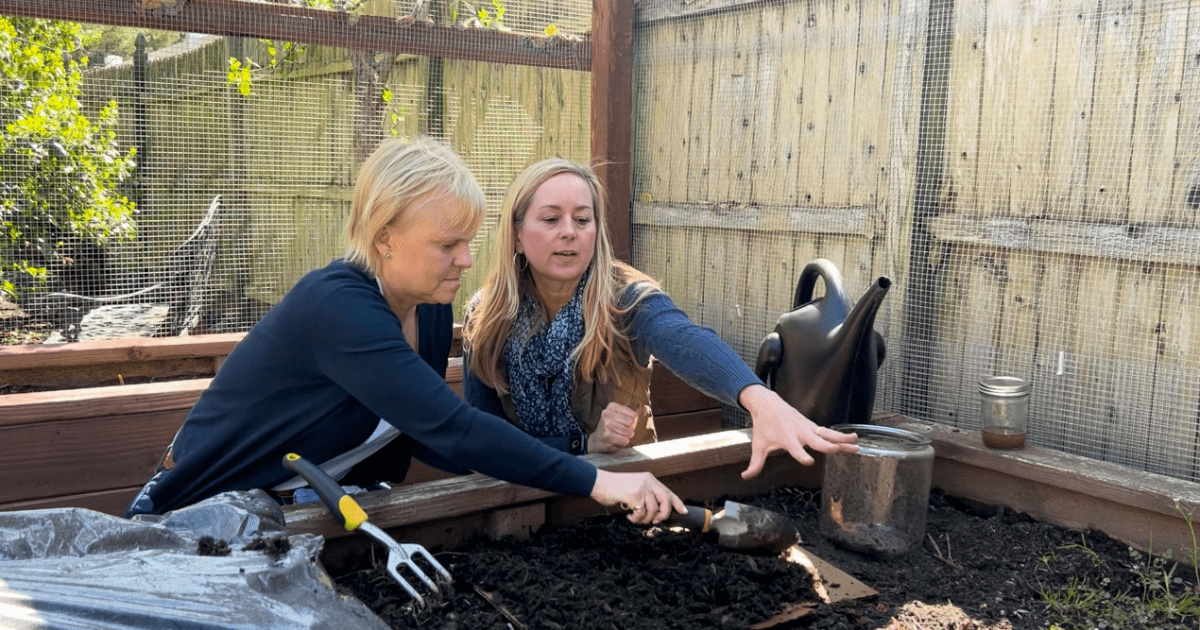 Tips for Starting Your Spring Garden - SJ Mag Media