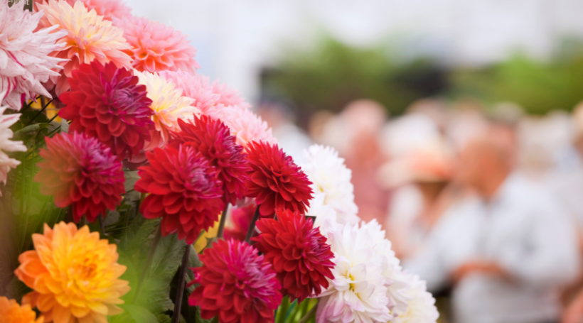 7 Flower Shows and Events in South Jersey this April - SJ Mag Media